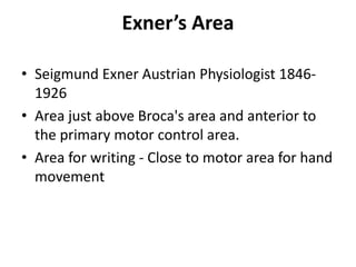 The physiology of SPEECH and aphasia.pptx