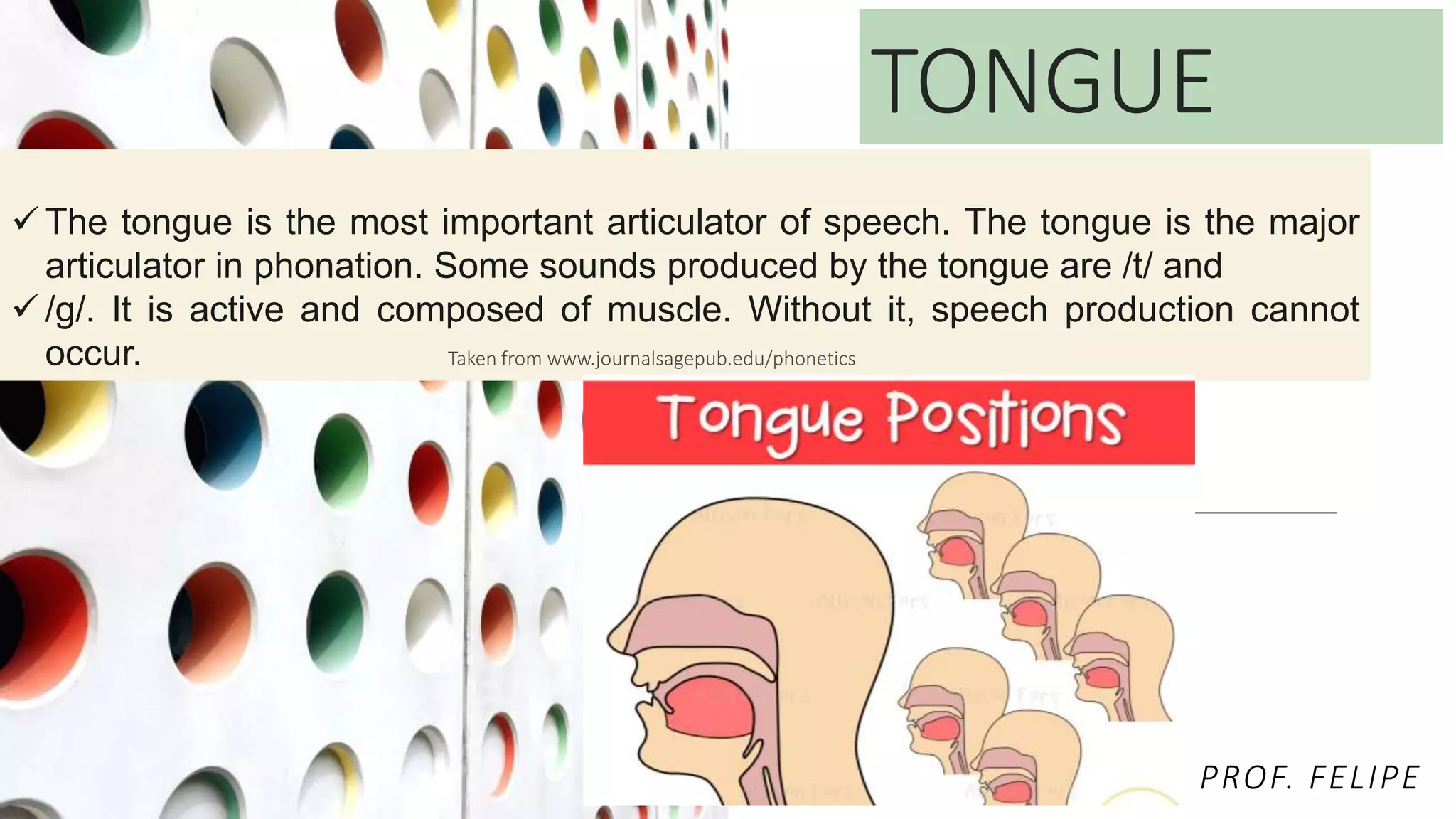 SPEECH-MECHANISM.ppt