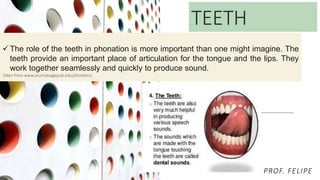 SPEECH-MECHANISM.ppt