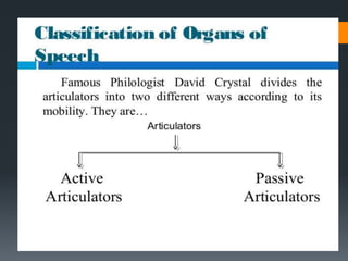 Speech organs | PPTX