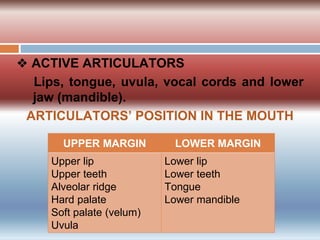 speech-organs speech-organs speech-organs speech-organs speech-organs ...
