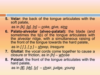 speech-organs speech-organs speech-organs speech-organs speech-organs | PPT