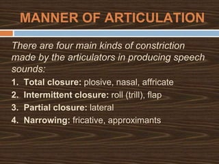 speech-organs speech-organs speech-organs speech-organs speech-organs | PPT