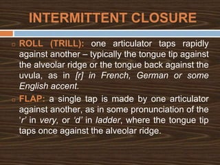 speech-organs speech-organs speech-organs speech-organs speech-organs | PPT