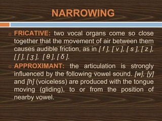 speech-organs speech-organs speech-organs speech-organs speech-organs | PPT