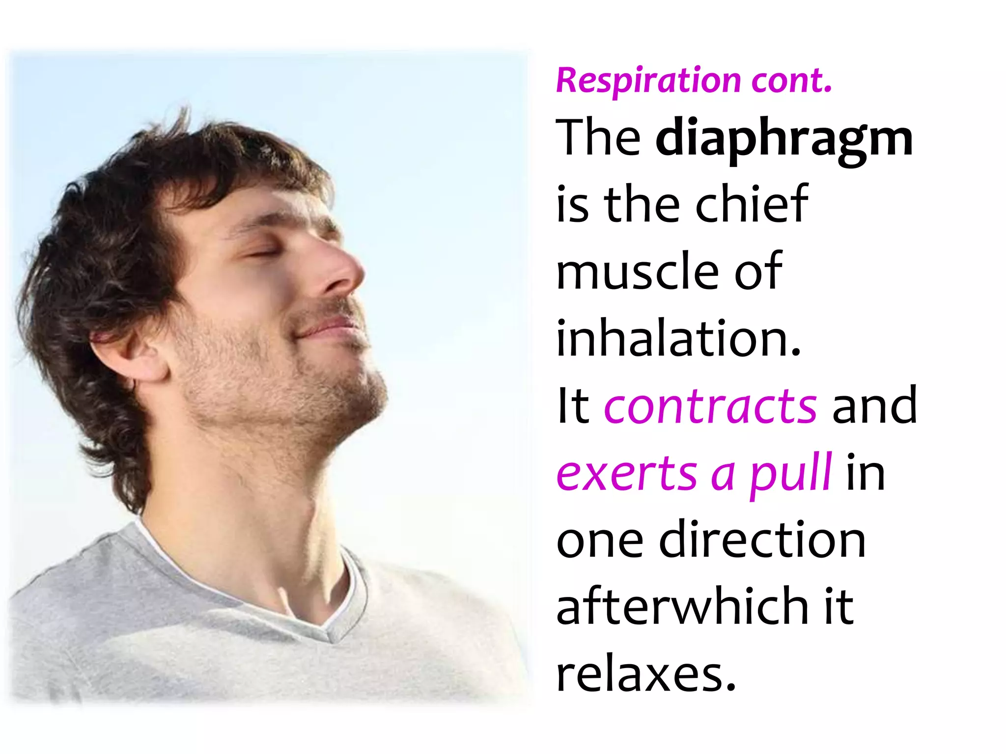 The Human Voice | PPTX