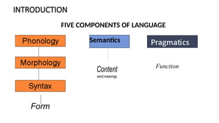 Speech and Language disorders anatomy and localization .pptx