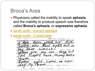 Speech and the Brain | PPTX