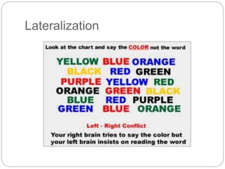 Speech and the Brain | PPTX