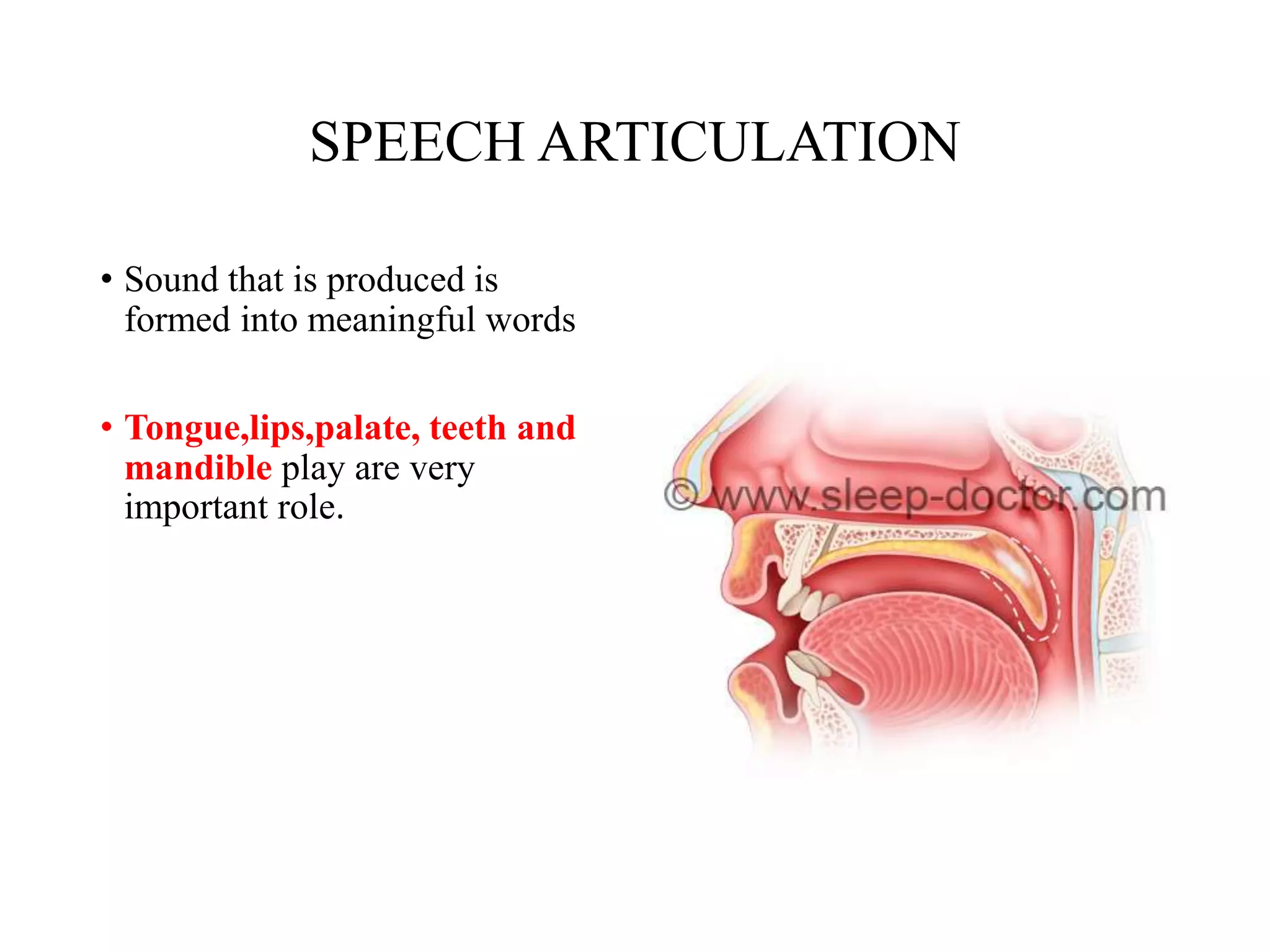 Speech consideration in complete denture | PPT
