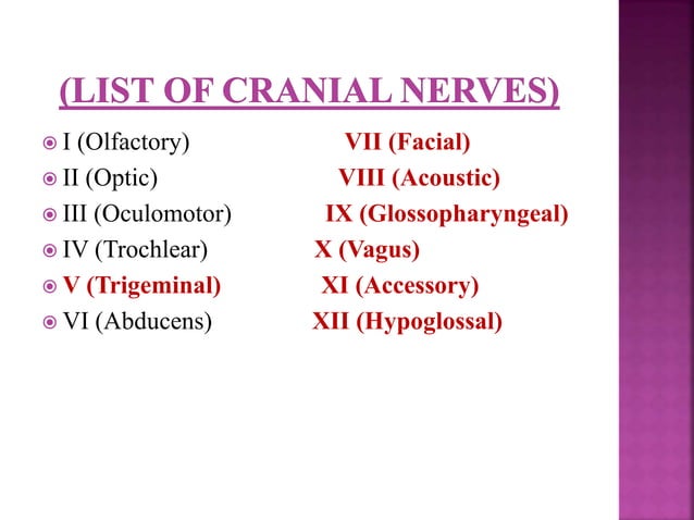 Speech defects and speech | PPTX | Ear, Nose and Throat Conditions ...