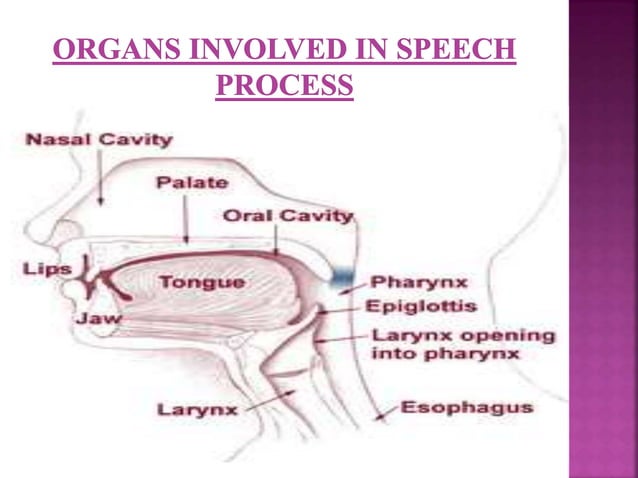 Speech defects and speech | PPTX | Ear, Nose and Throat Conditions ...