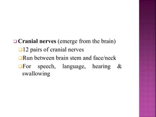 Speech defects and speech | PPTX
