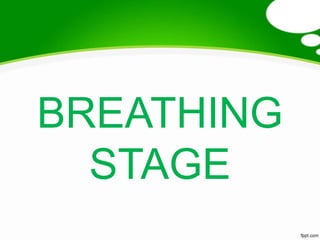 Speech mechanism | PPTX