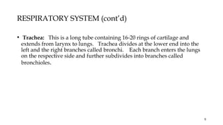 SPEECH_MECHANISM_AND_PRODUCTION AYJ MUMBAI | PPTX | Lung and ...