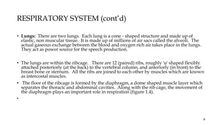 SPEECH_MECHANISM_AND_PRODUCTION AYJ MUMBAI | PPTX | Lung and ...