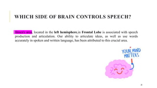 Speech Milestones-Speech Sciences presentation | PPT