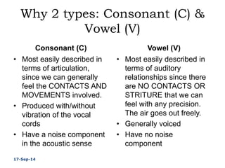 Speech organ1 | PPTX