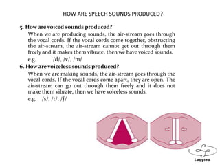 Speech organs | PPT