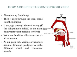 Speech organ1 | PPTX