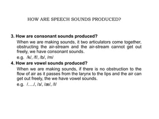Speech organ1 | PPTX