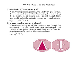 Speech organ1 | PPTX