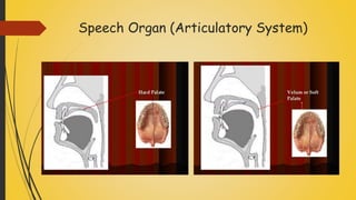 Speech organ and manner of articulation | PPTX