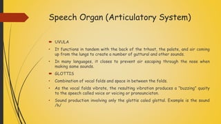 Speech organ and manner of articulation | PPTX