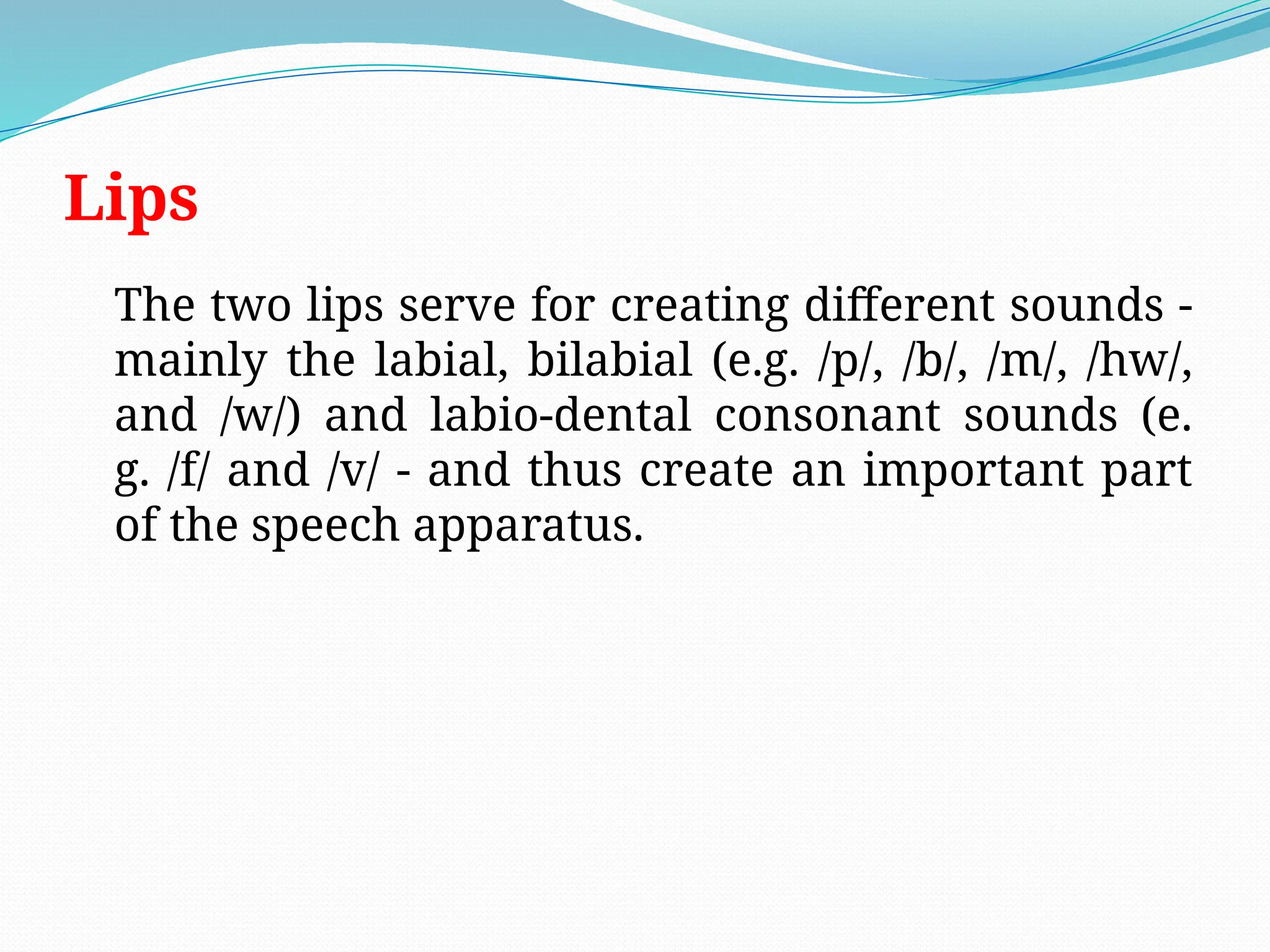 speech organ ppt.pptx to use for everyone | PPTX