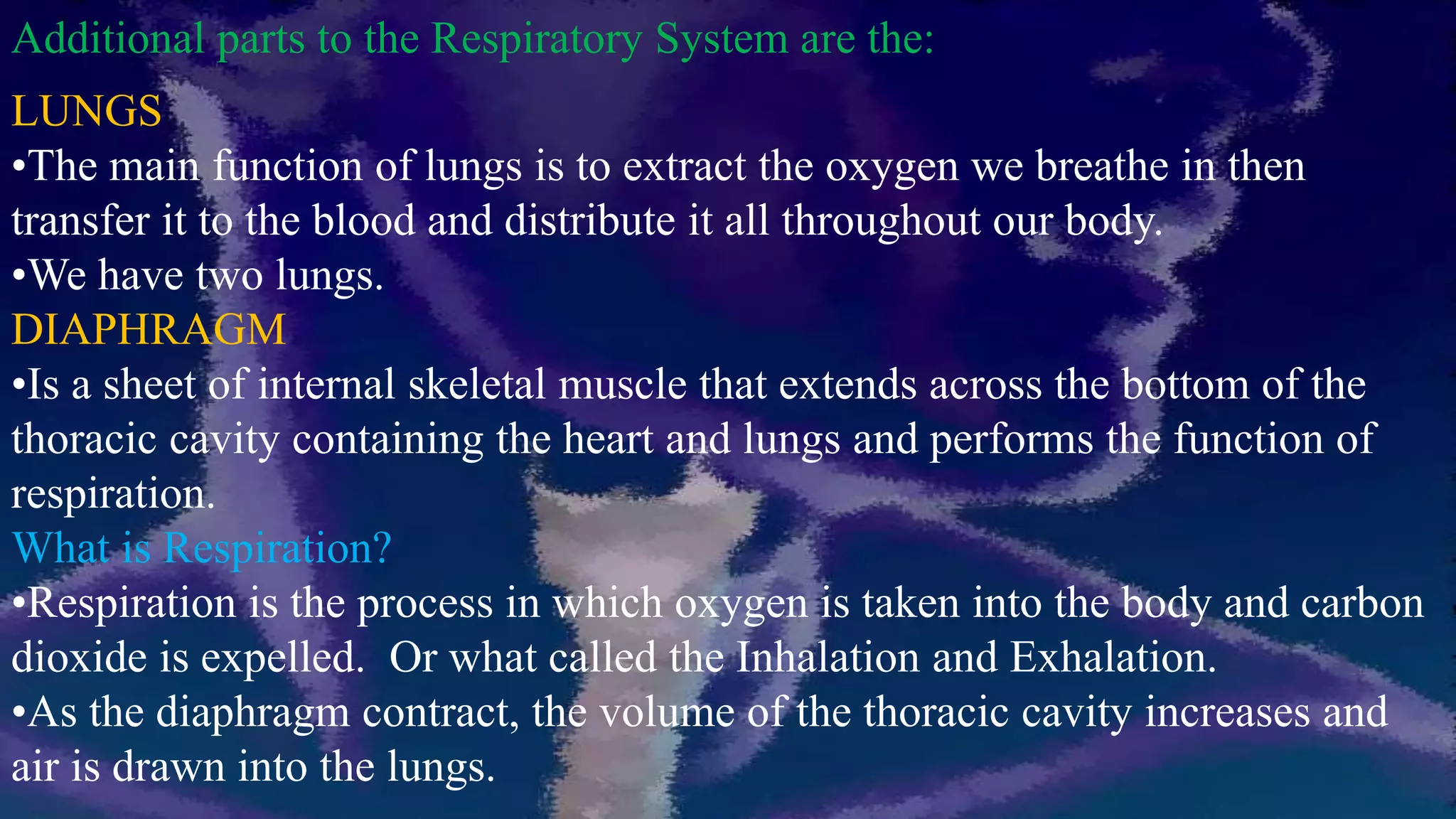 Speech Mechanism | PPTX