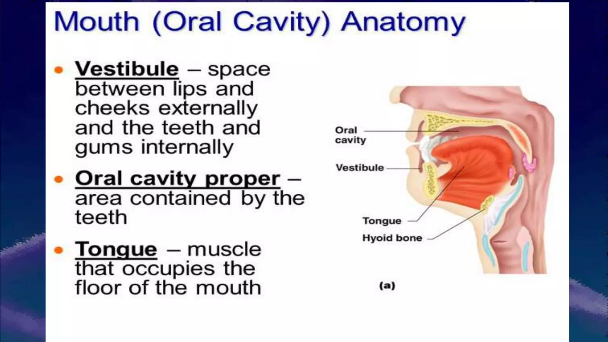Speech Mechanism | PPTX