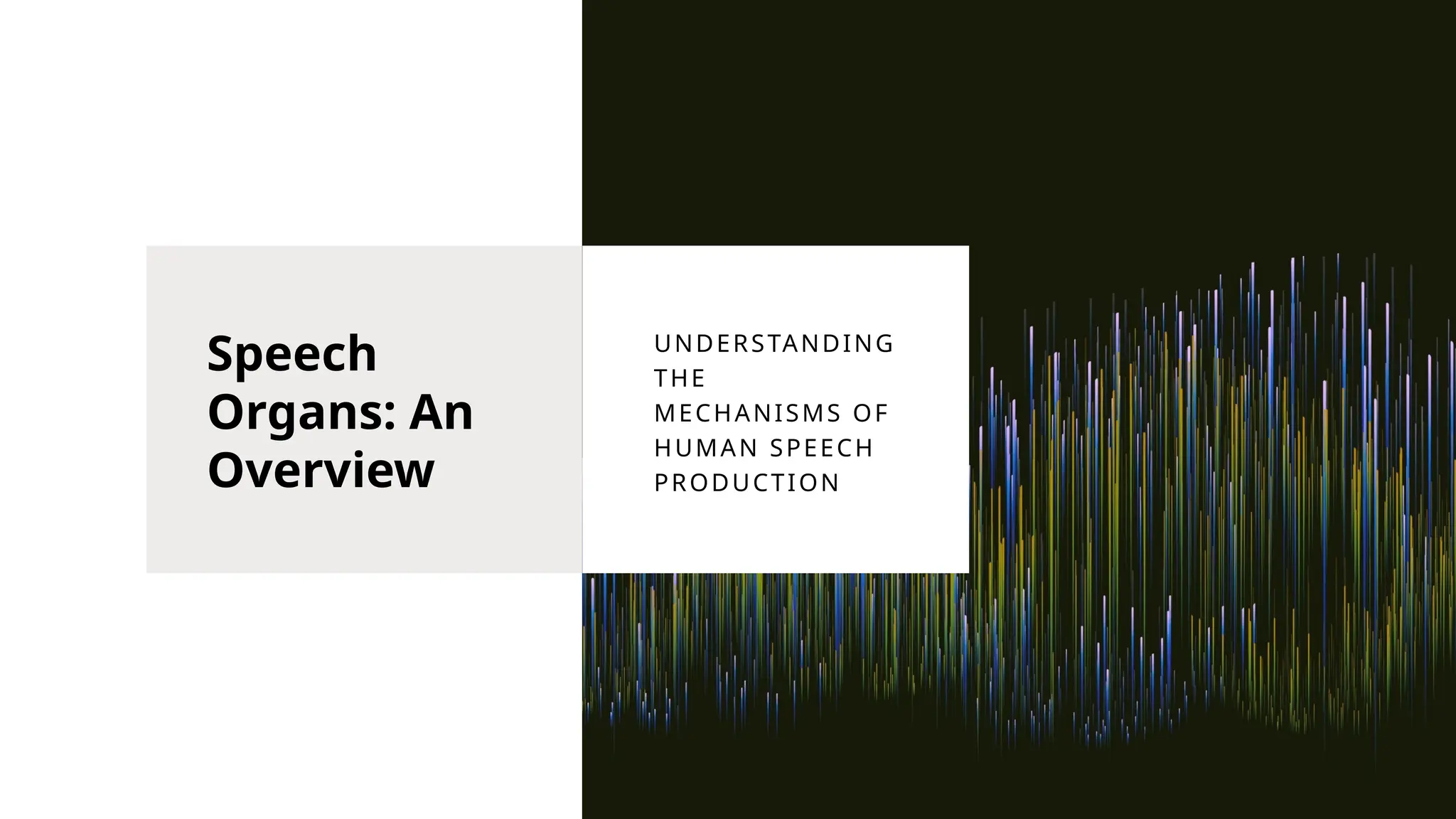 speech organs :Understanding the Mechanisms of Human Speech Production ...