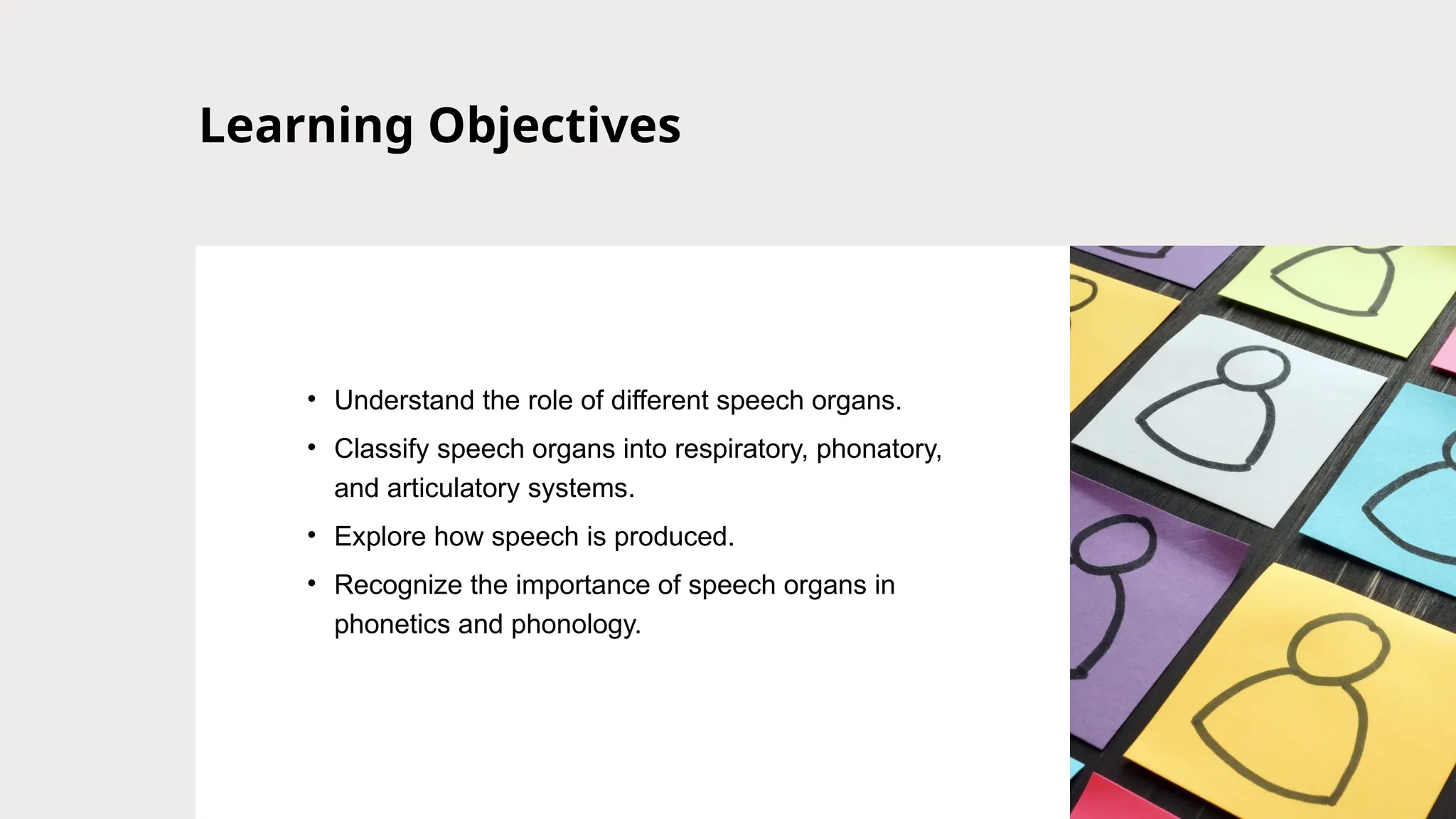 speech organs :Understanding the Mechanisms of Human Speech Production ...