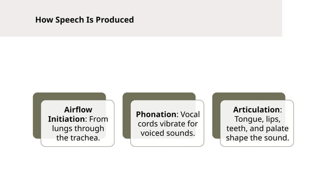 speech organs :Understanding the Mechanisms of Human Speech Production ...