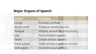 speech organs :Understanding the Mechanisms of Human Speech Production ...