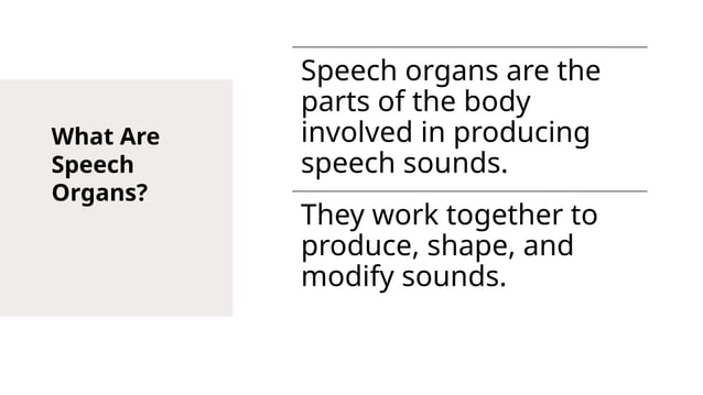 speech organs :Understanding the Mechanisms of Human Speech Production ...