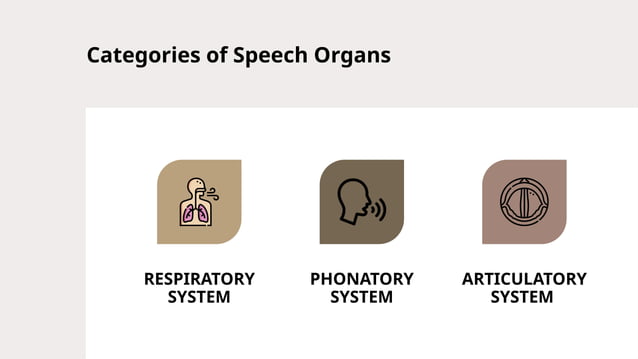 speech organs :Understanding the Mechanisms of Human Speech Production ...