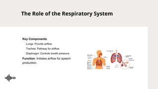 speech organs :Understanding the Mechanisms of Human Speech Production ...