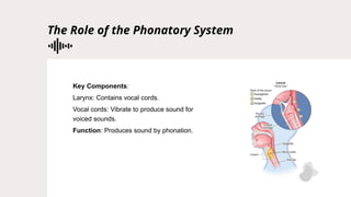 speech organs :Understanding the Mechanisms of Human Speech Production ...