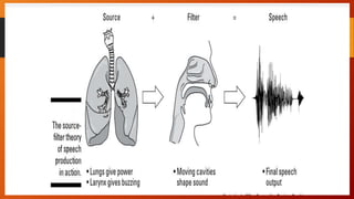 Speech organs part2 | PPT