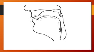 Speech organs part2 | PPSX