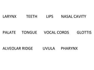 Speech organs and sounds they produce | PPT