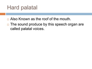 Speech organ uzma | PPTX