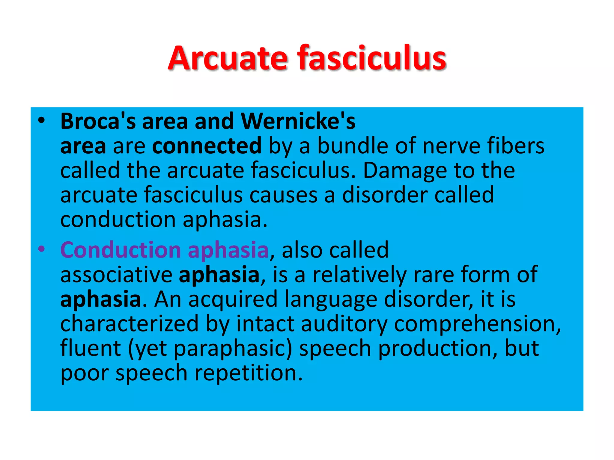 Physiology of Language and Speech | PPTX