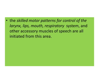 Physiology of Language and Speech | PPTX