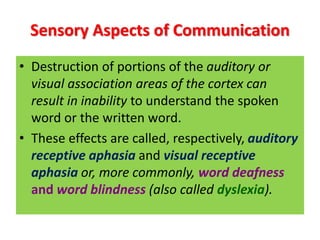 Physiology of Language and Speech | PPT