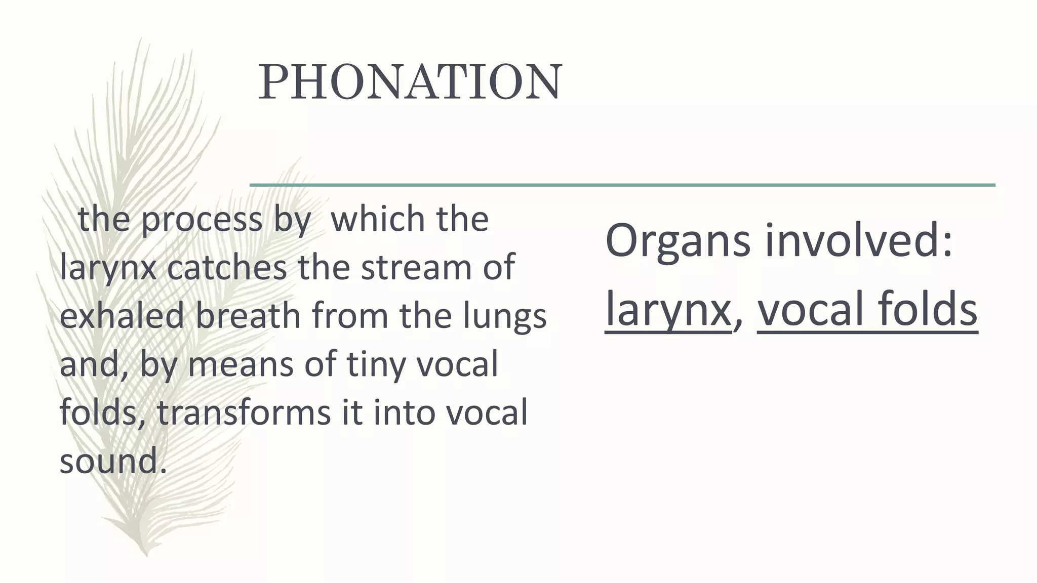 Speech process | PPTX