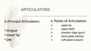 Speech process | PPTX | Lung and Respiratory Health | Diseases and ...