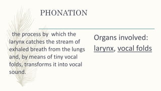 Speech process | PPTX | Lung and Respiratory Health | Diseases and ...