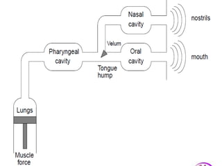 Speech recognition final presentation | PPTX